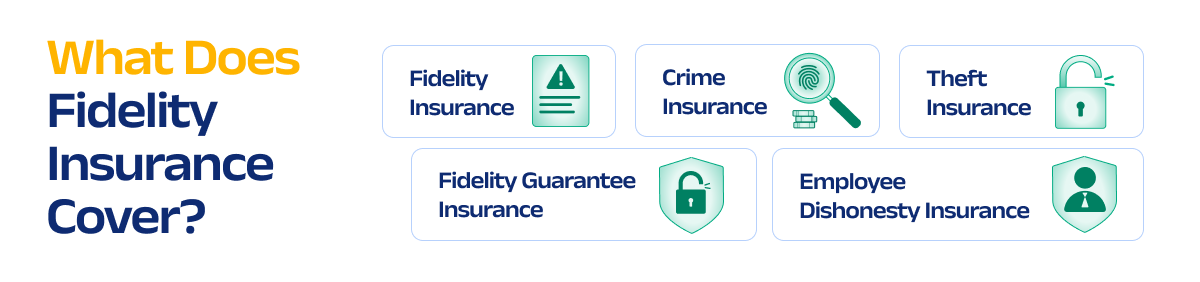What is Fidelity Insurance? What does it cover and not cover? - Blog ...